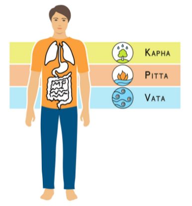 Prakruti-analysis - Ayurveda Doctor | Ayurveda Clinic | Ayurveda Shop