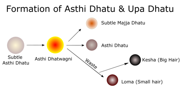 Asthi Dhatu