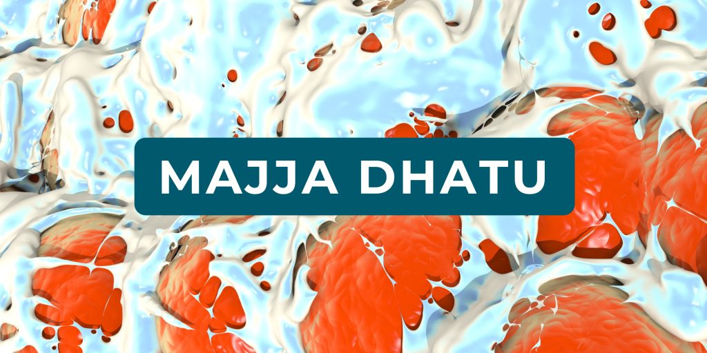 A Beginner’s Guide To The Majja Dhatu - Total Ayurveda