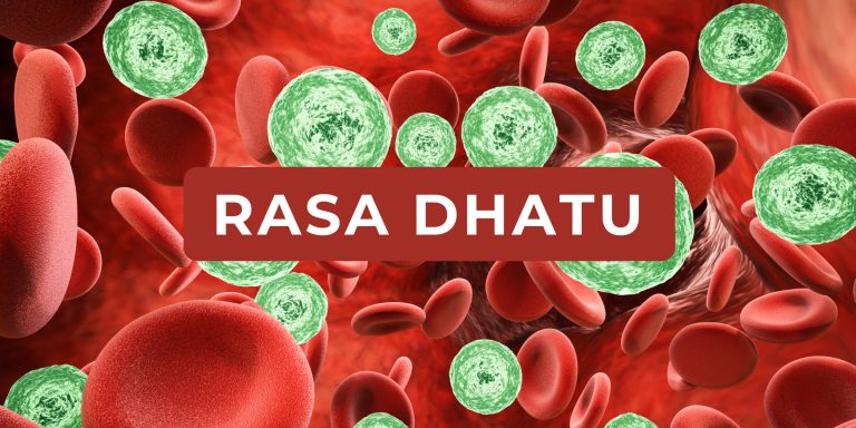 A Beginner's Guide To Rasa Dhatu - Total Ayurveda
