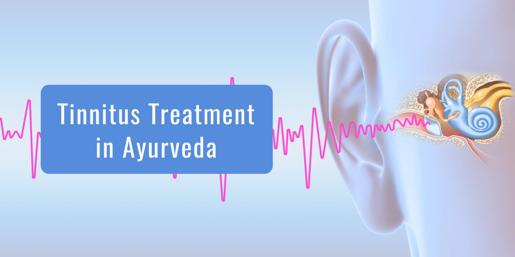 Tinnitus Treatment In Ayurveda: A Comprehensive Overview